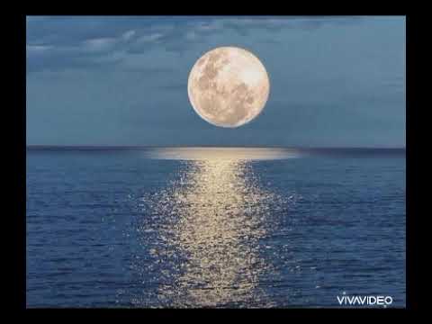 YAĞMURLARIM ŞİİR SEVGİ BULUT