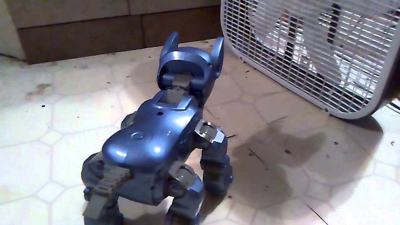 Robot Dogs ( I-Cybie, Zoomer & Robopet ) - YouTube