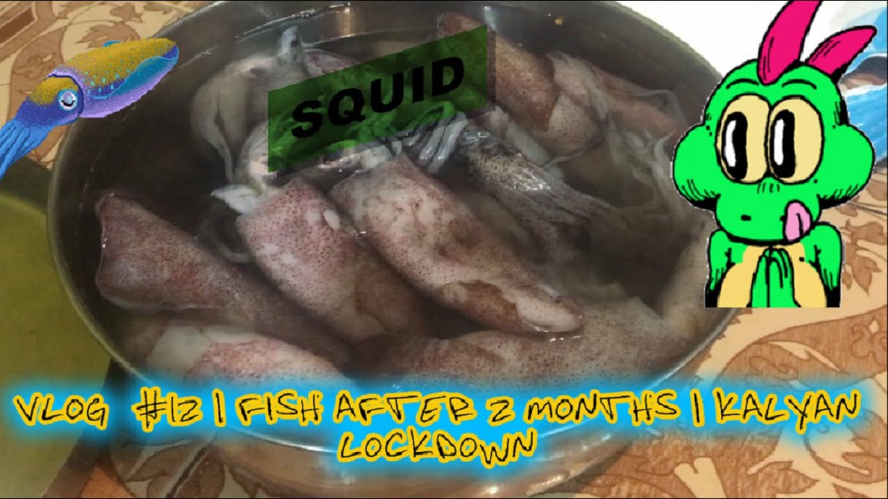 FISH - MAKHUL (SQUID) AFTER 2 MONTHS | KALYAN LOCK-DOWN - YouTube