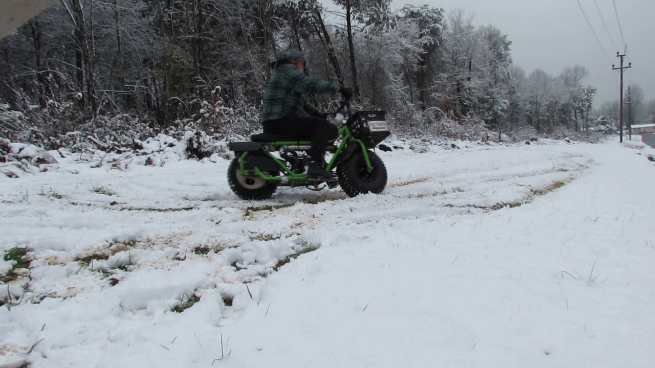 Manco Fat Cat In The Snow – 2 - YouTube