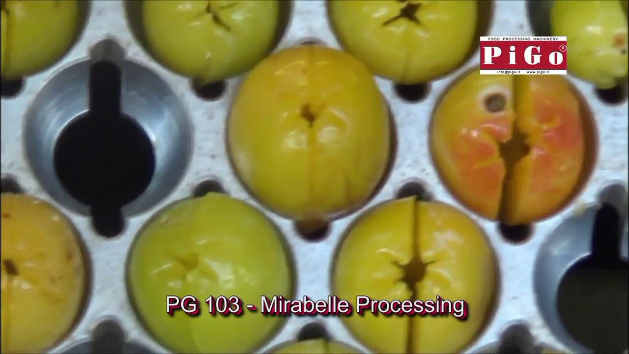 PIGO srl - Pitting and destoning machines for food industry - YouTube