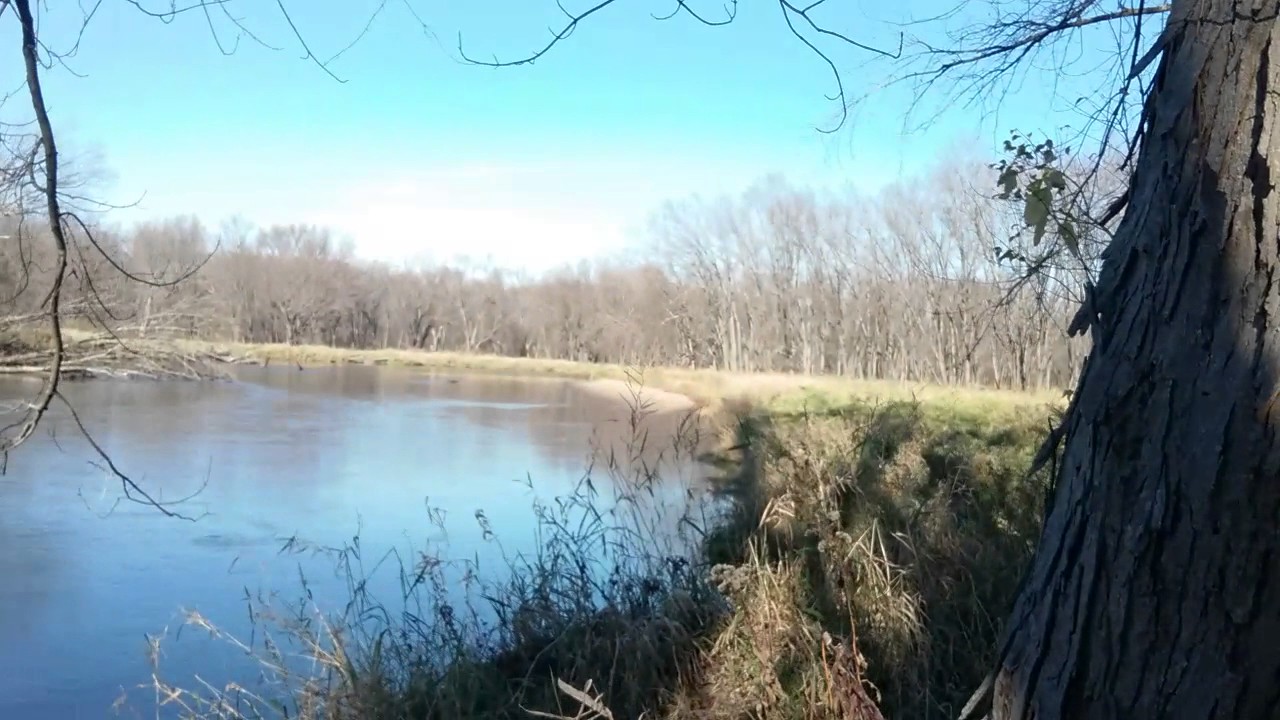 Day 1 River Trapping Wisconsin for Beaver and Raccoon - YouTube