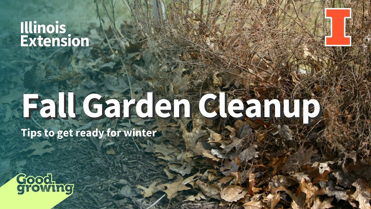 Tips for Cleaning up the Garden in Fall | #GoodGrowing - YouTube