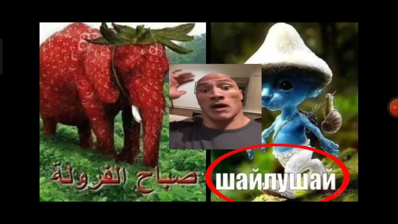 Reacting to smurf cat vs strawberry elephant 💀 - YouTube