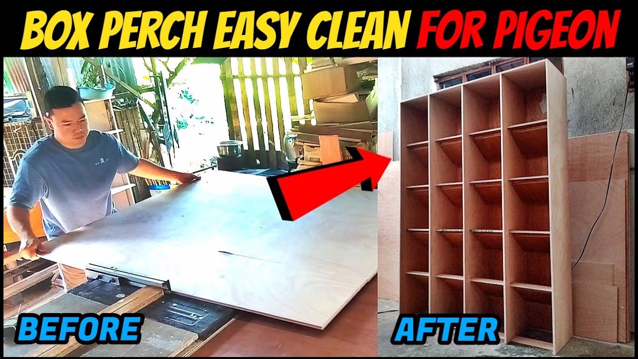 HOW TO MAKE BOX PERCHES EASY CLEAN DIY FOR PIGEON RACING - YouTube