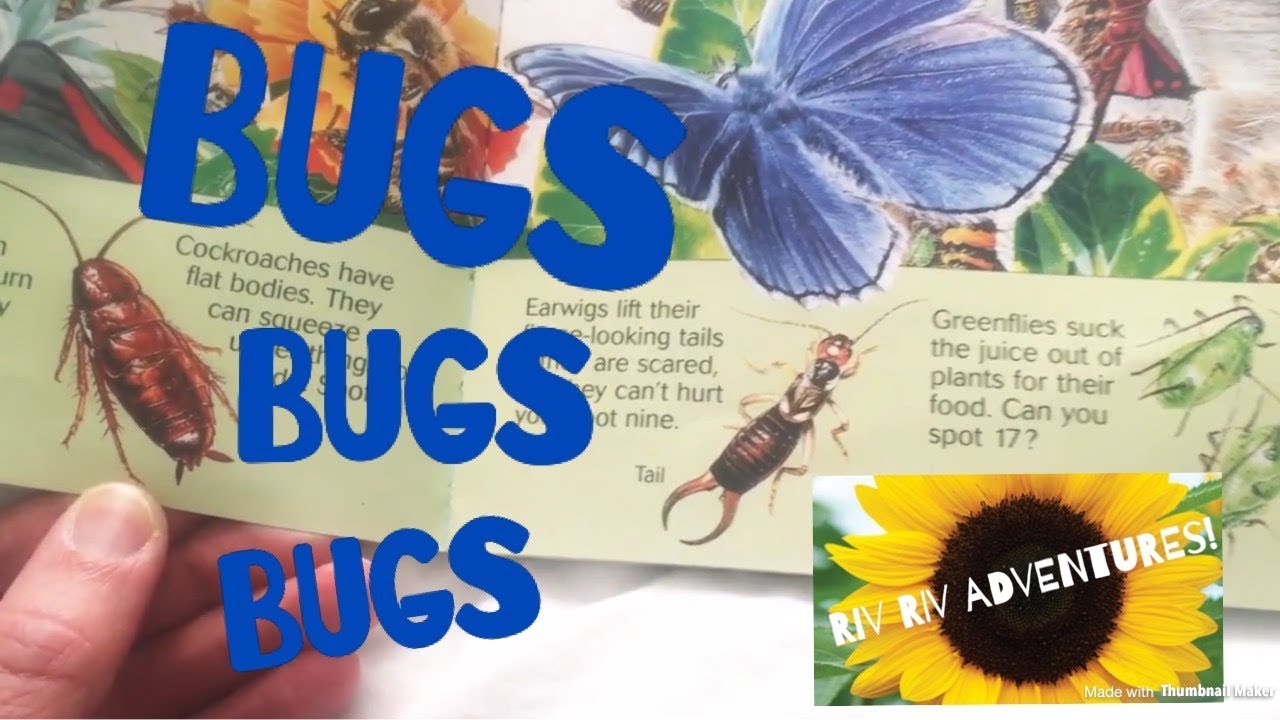 “The Big Bug Search” Story Time! 🦋🐌🐝🐞🕷 - YouTube