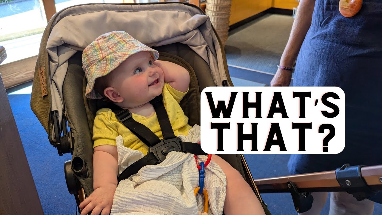 Dad's Day Out: Crazy Adventures Await! - YouTube