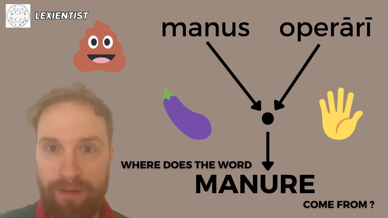 Etymology Of MANURE The Work Of Human Hands YouTube etymology-of-manure-the-work-of-human-hands-youtube