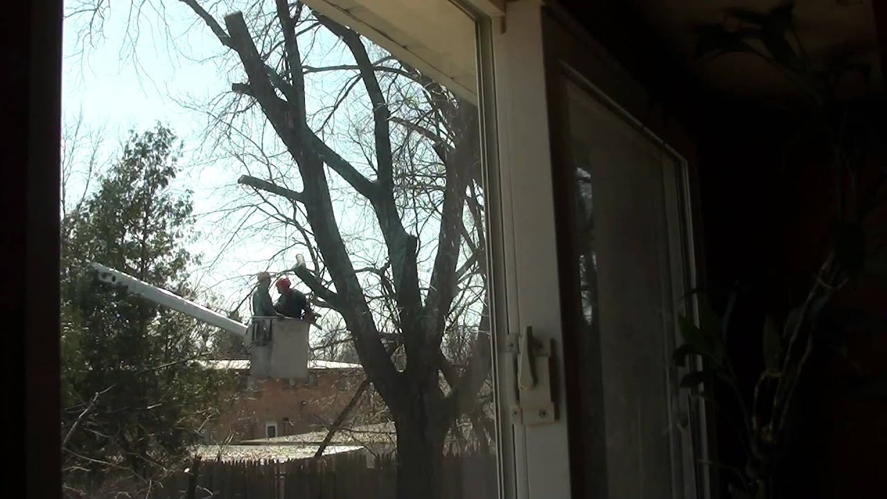 Chain saw injury - YouTube