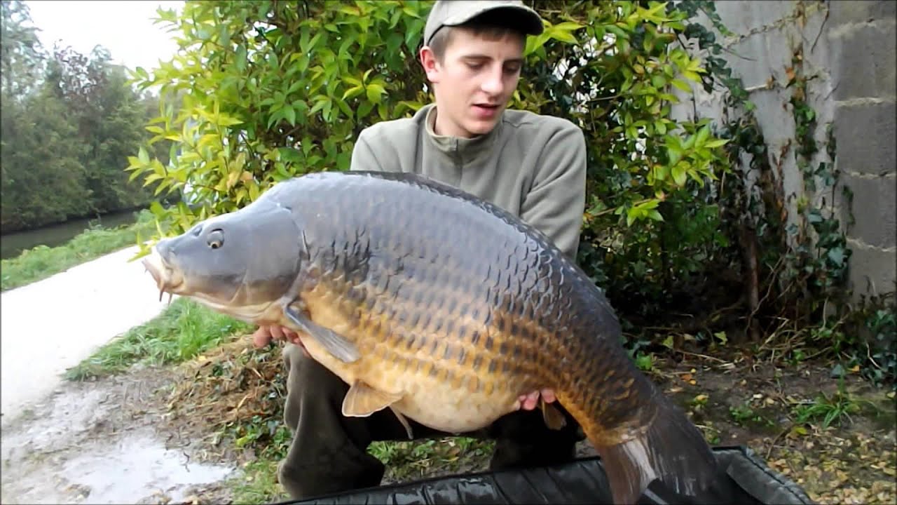 Canal 4 Ever Team X-carp HD carpe 2014 - YouTube
