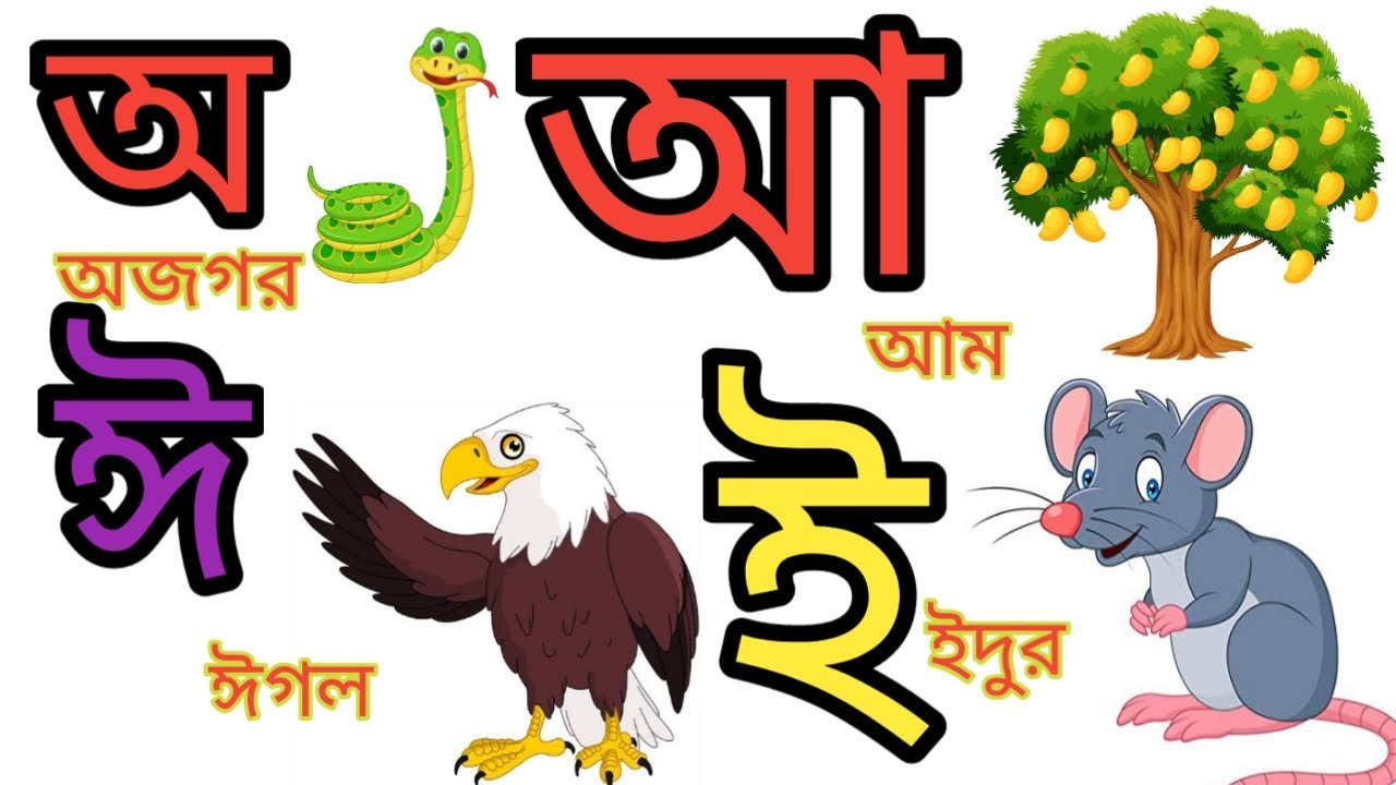 a aa rashi | bangla alphabet | bangla sorborno | অ , আ , ই , ঈ পড়া ...