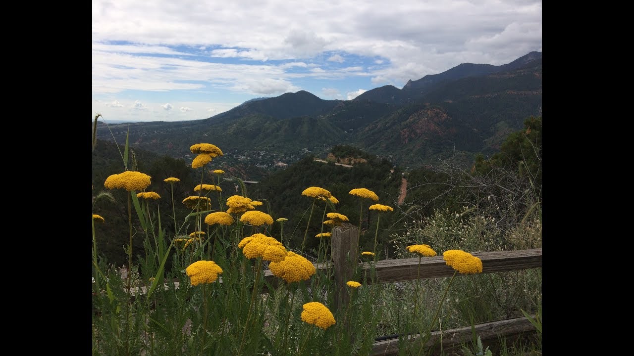 Forrest Fenn's Treasure, The First Stanza of the Poem - YouTube