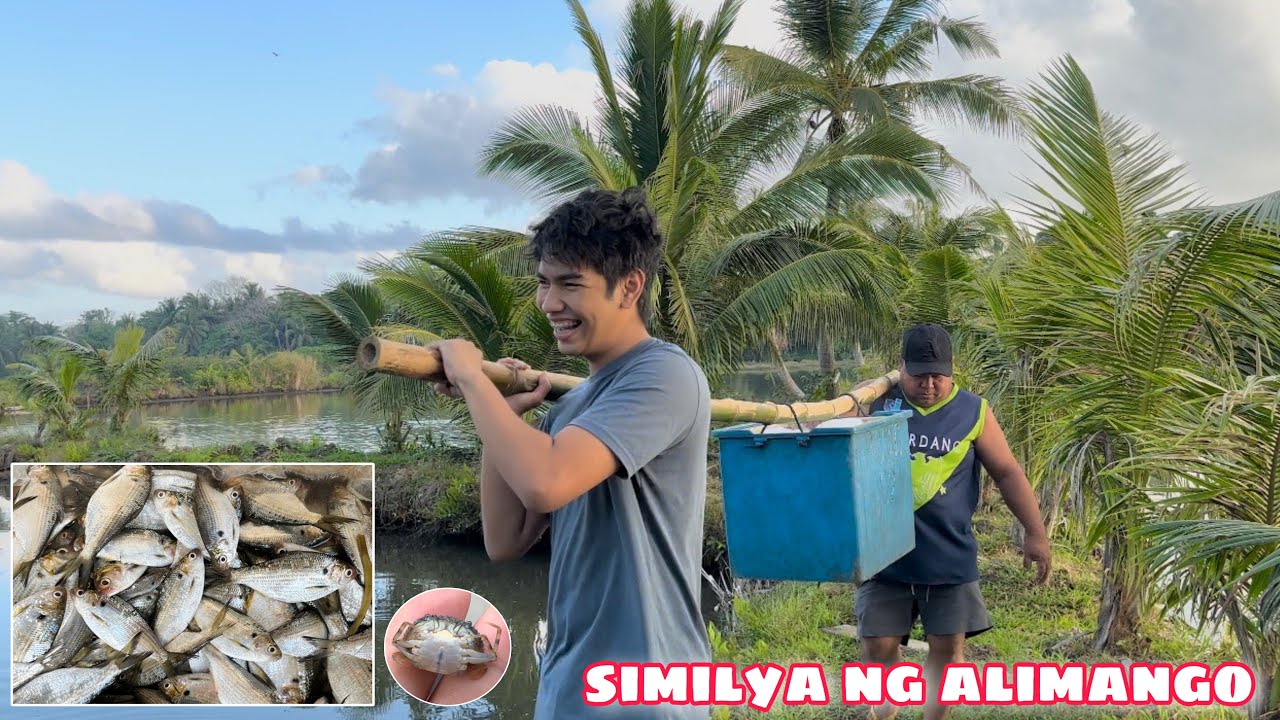 PAGBIBILANG AT PAGHUHULOG NG SIMILYA NG ALIMANGO SA PALAISDAAN - YouTube