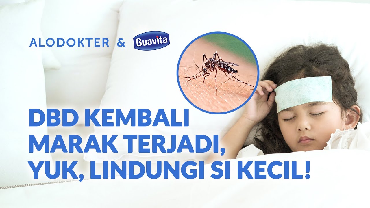 Demi Kebaikan Si Kecil, Yuk, Kenali DBD dan Cara Pencegahannya! - YouTube