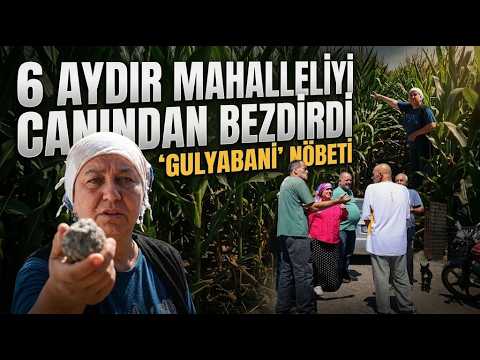 Geceleri Ortaya Çıkıyor, Taş Atıyor, Lazer Tutuyor, Kaçıyor... Kimse Yakalayamıyor!