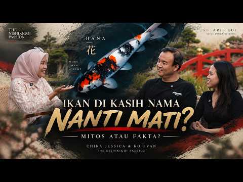 KENAPA IKAN INI DINAMAI HANA? | Chika Jessica & Ko Evan Ceritakan Alasannya - SOLARIS KOI MEDIA