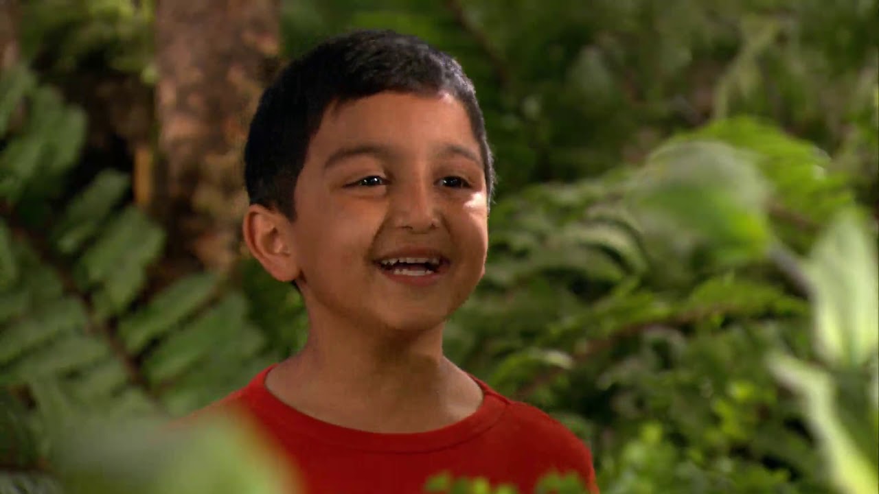 Waybuloo 🧘🌳 Season 1, Episode 48 - De Li's Flowers 💐 - YouTube