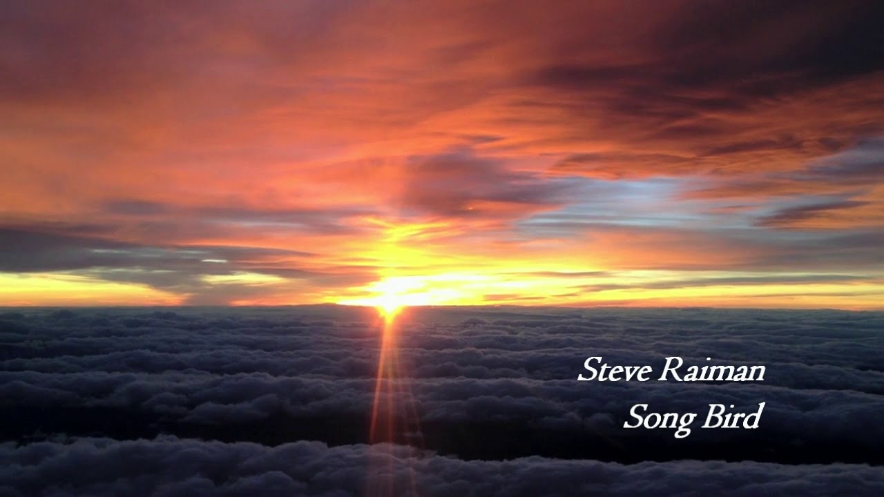 아침에 듣기좋은 잔잔한 피아노 음악- Song Bird(Steve Raiman) - YouTube
