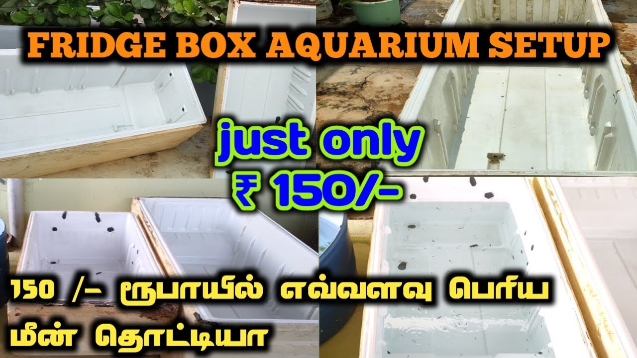 How to Make a Fridge Box as a Fish Tank / Cheapest Fish Tank Making ...