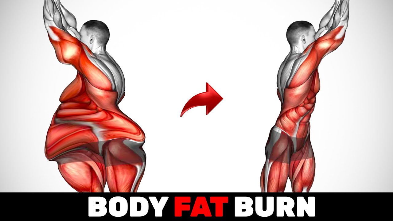 Lose Belly Fat and Weight - Low Impact Cardio HIIT Workout for ...