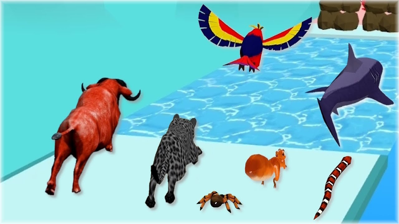 All Transformations in Animal Transform: Epic Race 3D Game - YouTube