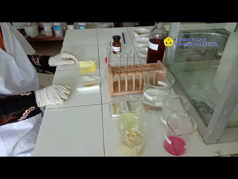 Identifikasi Formalin Pada Makanan - YouTube