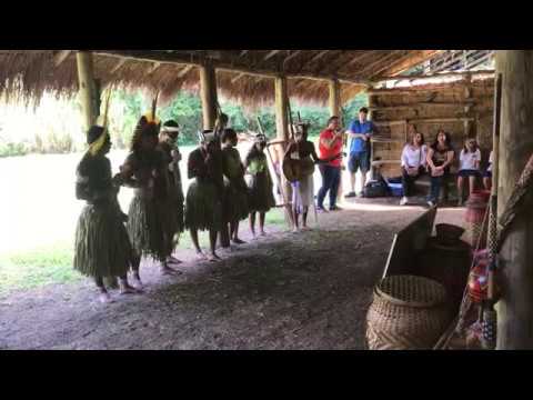 Promoventos - Estudo do Meio - Sítio do Sol 1 - YouTube