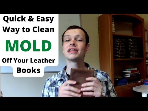 How to Clean Mold Off Leather Book Covers (And Other Info on Mold and ...
