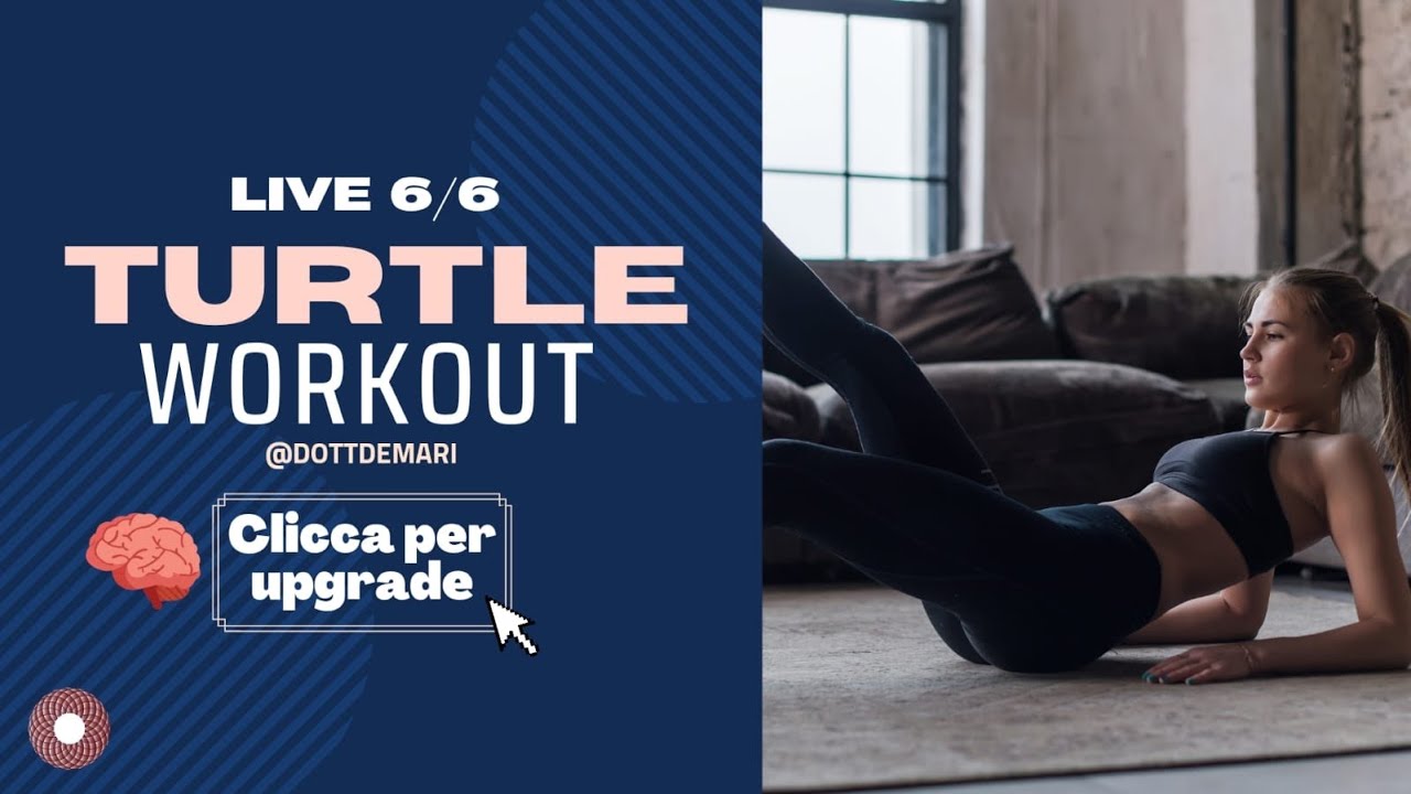 Turtle Workout 6/6 - YouTube