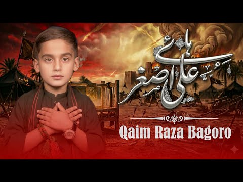 Hai Ali Asgar a.s | Qaim Raza Bagoro | Noha | Muharram 2026 / 1448