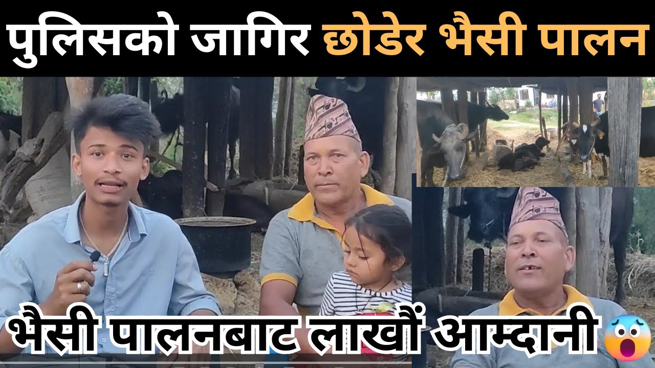 पुलिसको जागिर छोडेर भैसी पालन | भैसी पालनबाट लाखौं आम्दानी | Bhaisi ...