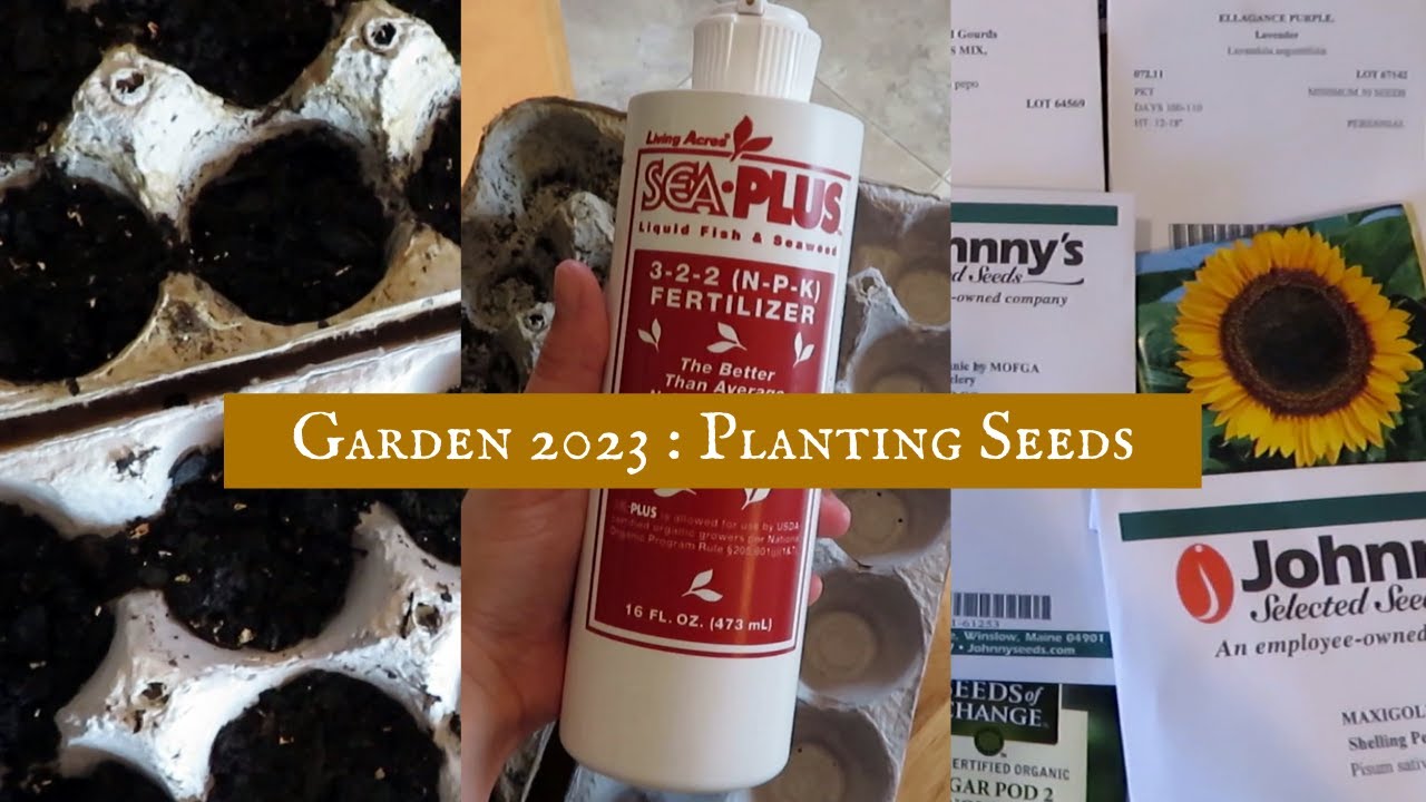 Starting First Seeds of 2023 | Planting a Garden - YouTube