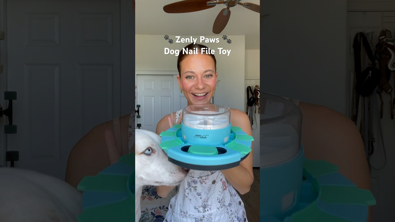 ⚠️Sold on Amazon! Zenly Paws Dog Nail File Toy ⚠️ #dognailtrim # ...