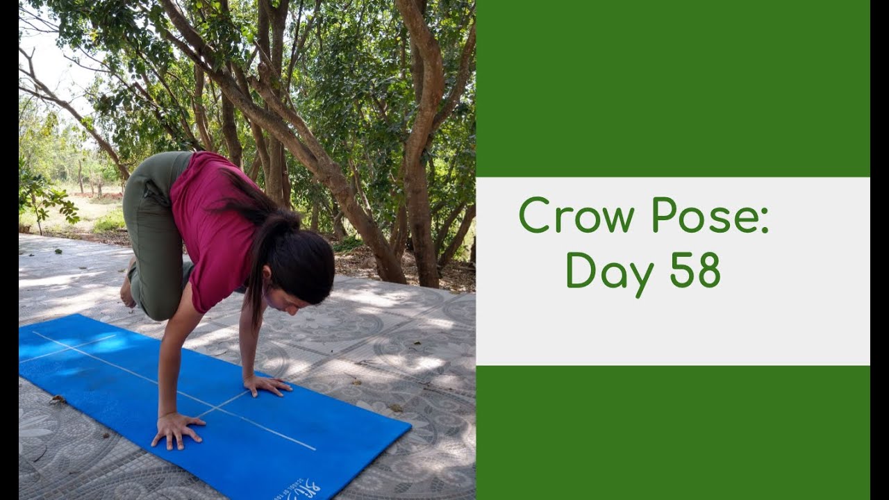 Crow pose Day 58 | Vinyasa yoga with crow pose basics and full flow ...