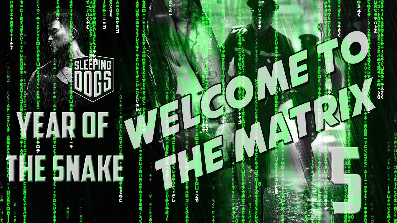 [5] Sleeping Dogs: Year of the Snake - Welcome to the Matrix - YouTube