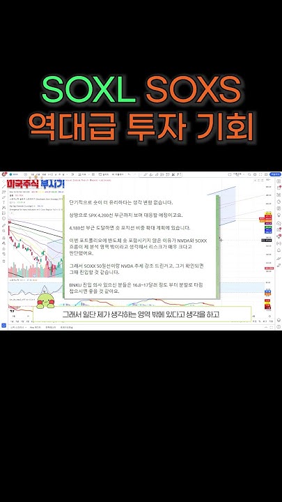 SOXL SOXS 타점 참고해 주시길 바랍니다 #Shorts - YouTube