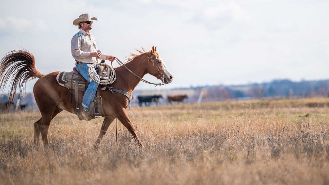 Storytellers Episode 1 | The Hill | Texas Trophy Hunters Association ...