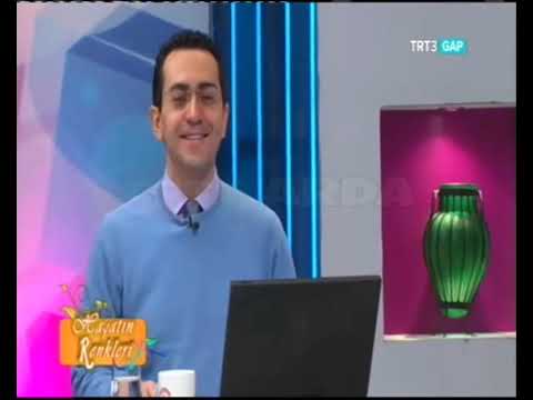 TRT GAP - Logo Değişim Ânı (?) (2014)