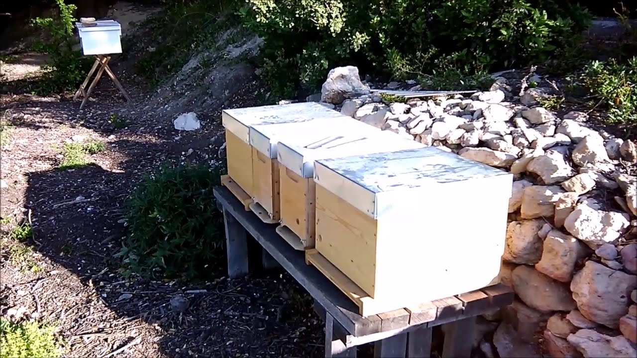 Dadant beehives - YouTube