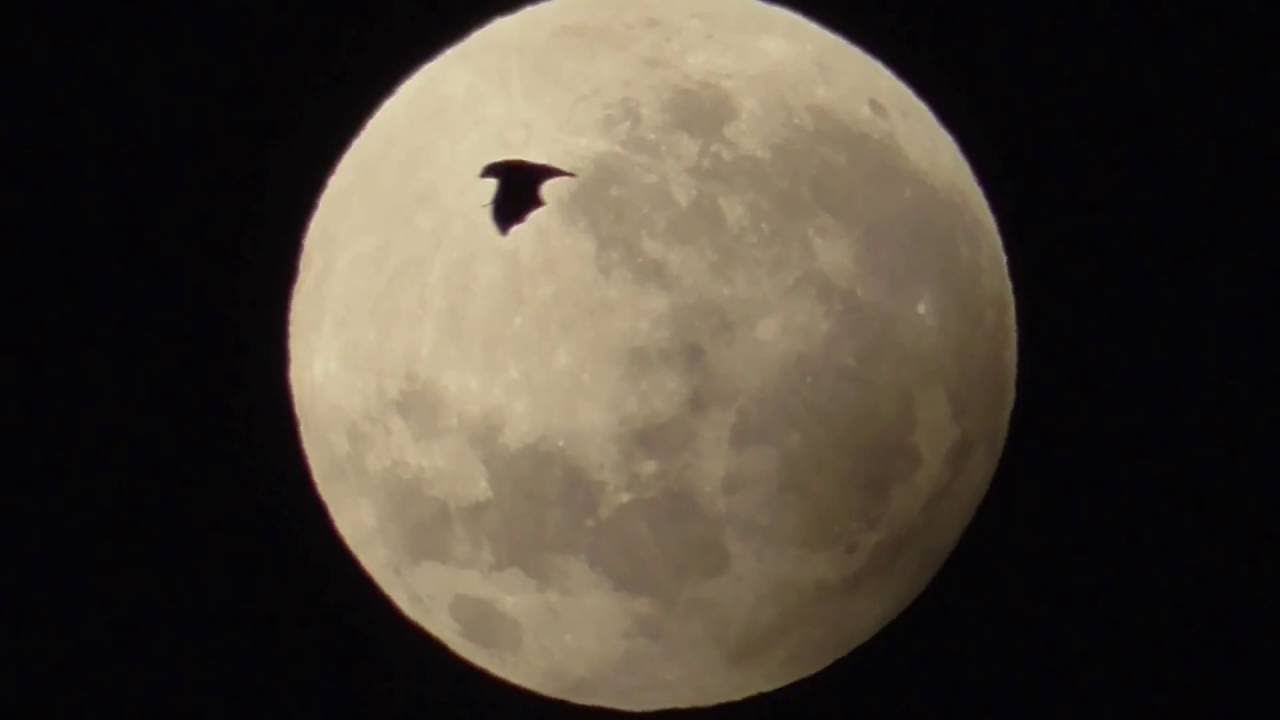 Lunar Eclipse September 2016 - YouTube
