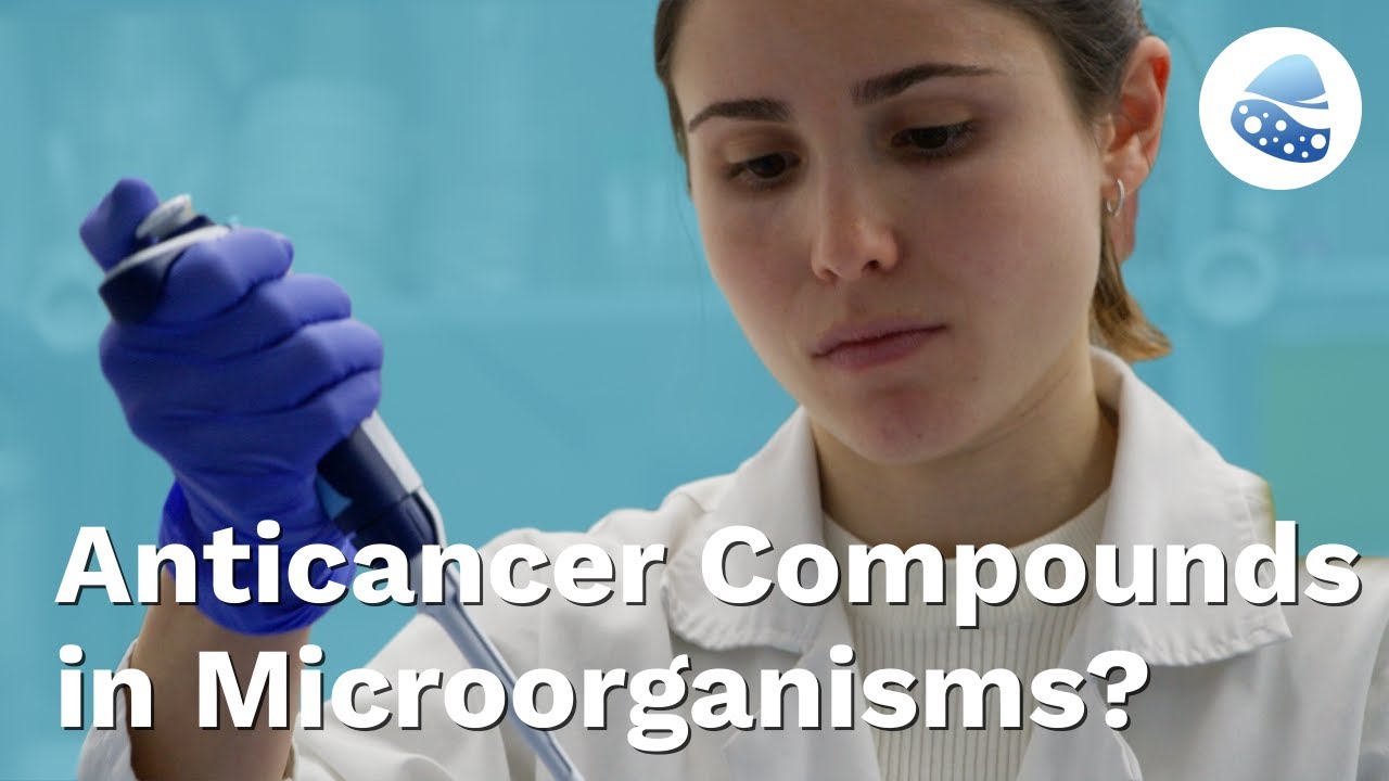 New Medical Compounds in Marine Microbiomes - YouTube