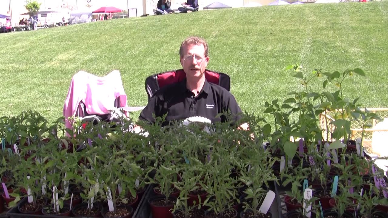 Apple Valley Farmers Market - YouTube