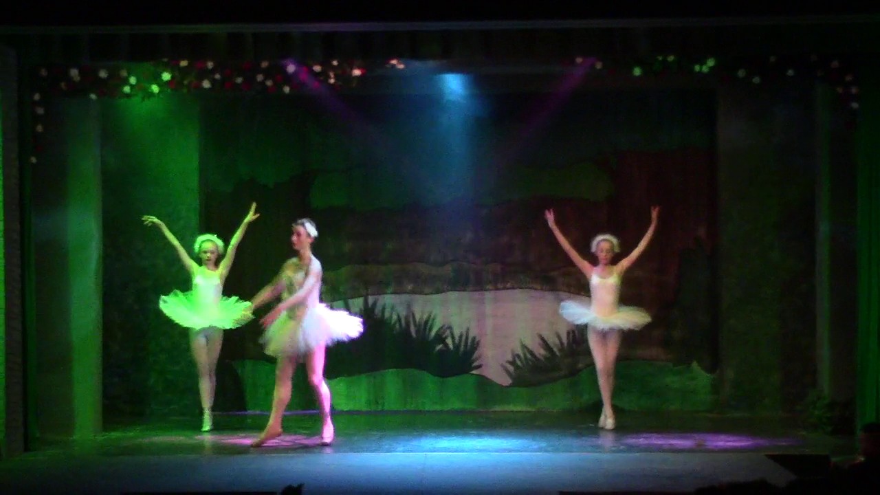 Panto swan lake ballet - YouTube