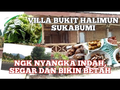 Bongkar Indahnya : Villa Bukit Halimun, Villa Terdekat dari Pondok ...