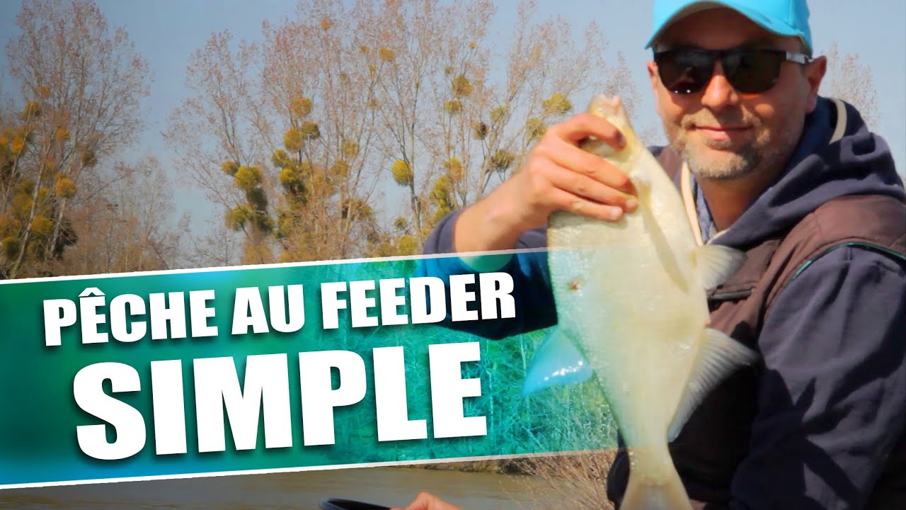 PÊCHE AU FEEDER SIMPLE - Les bases - YouTube