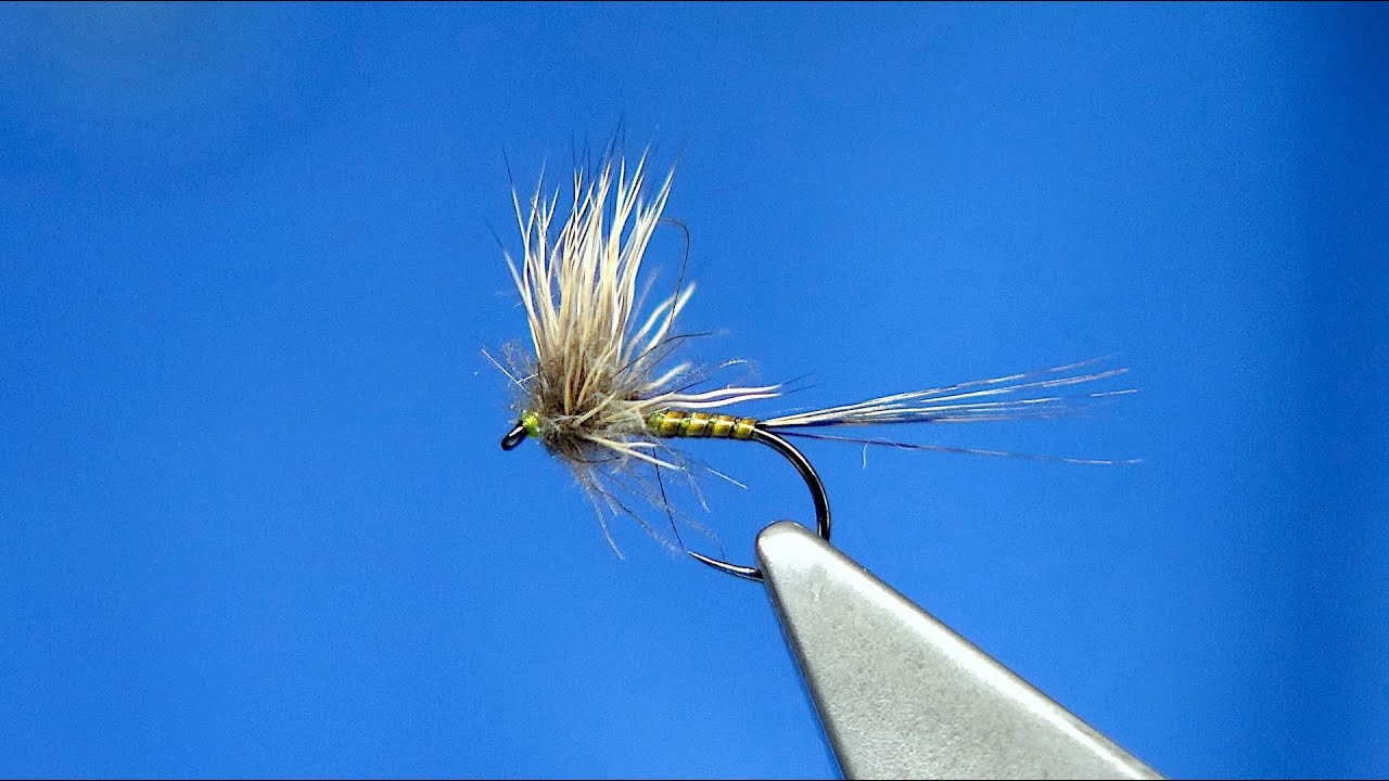 Tying a Spring Olive Comparadun with Davie McPhail - YouTube
