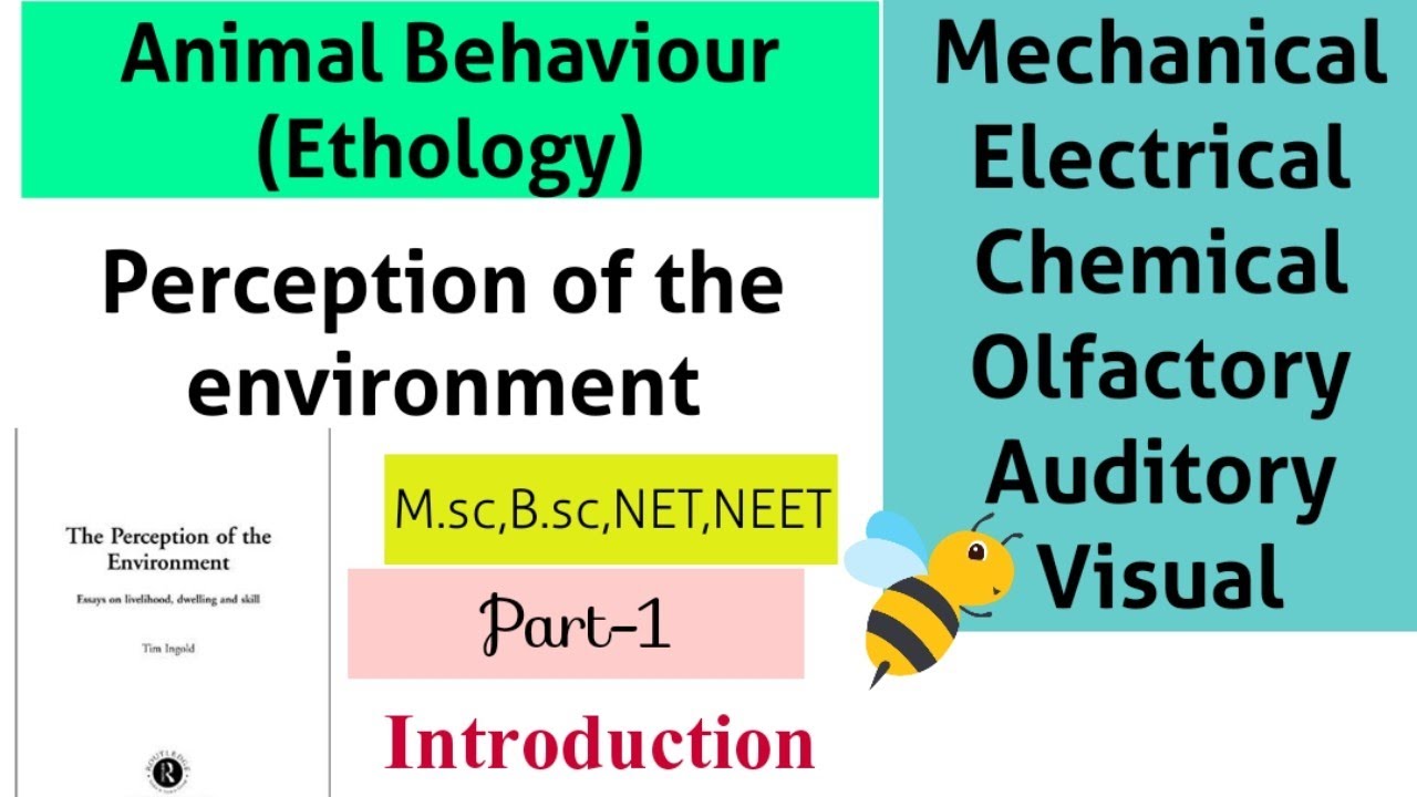 1)Ethology-Perception of the environment|Introduction|define|Sensory ...