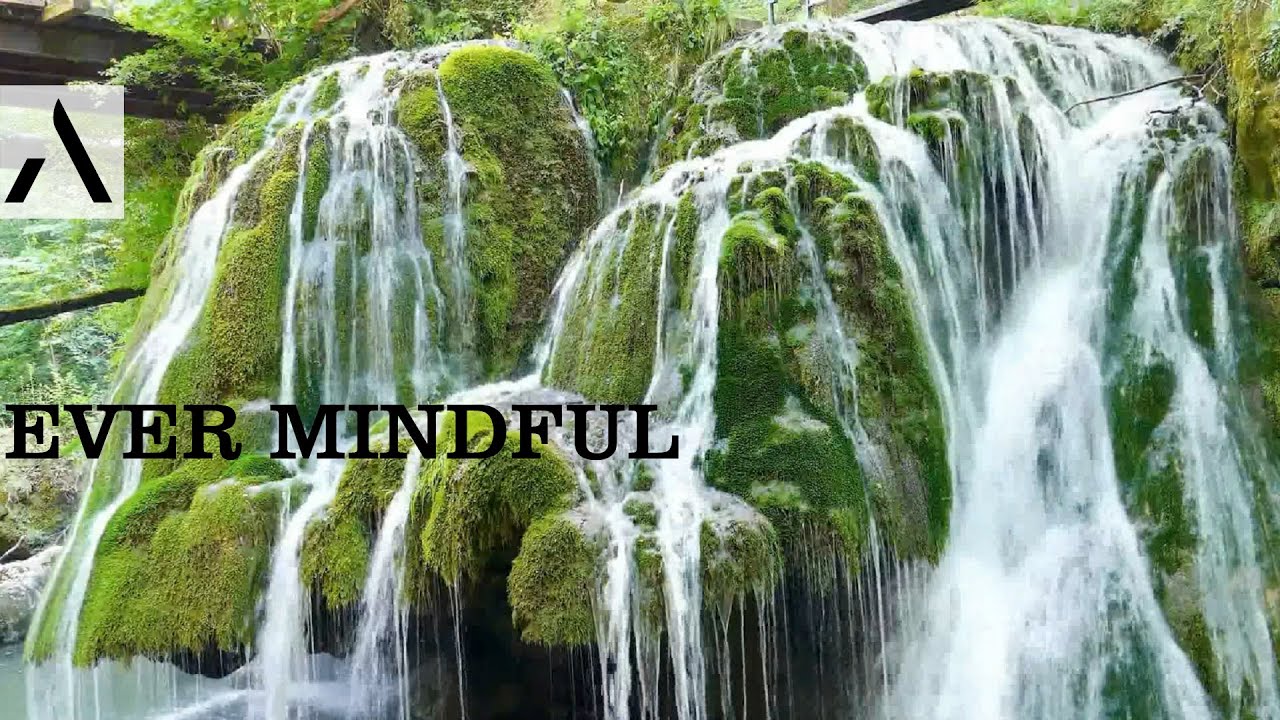 Ever Mindful - YouTube