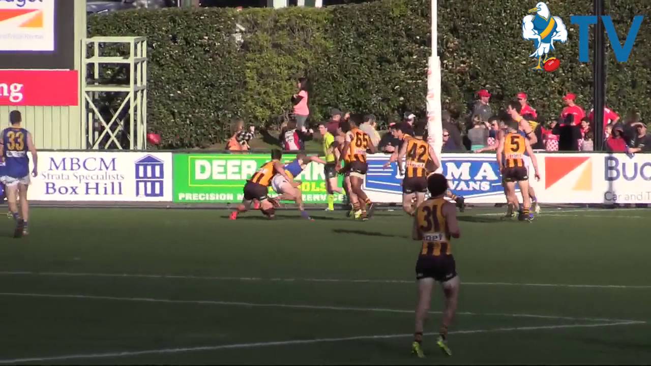 Anthony Anastasio goal against Box Hill - YouTube