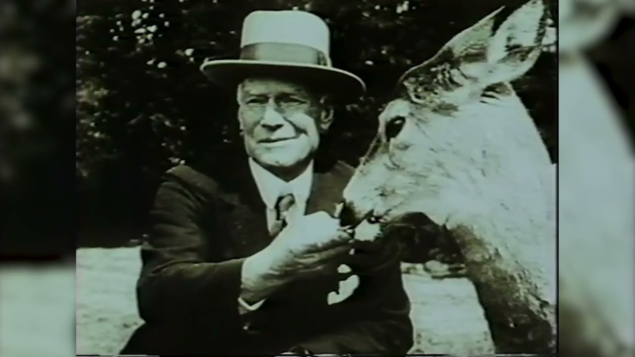 The Jack Miner Migratory Bird Sanctuary: Land Here - YouTube